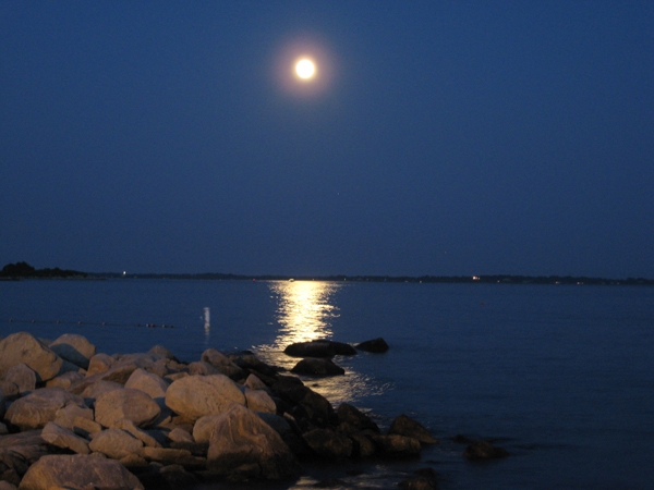 mead moon – In the Woods