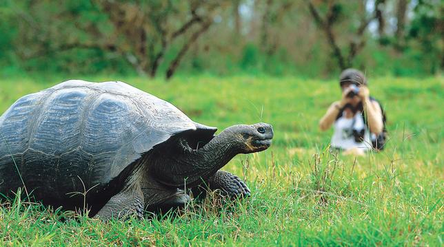 a travel catalog came in the mail – In the Woods