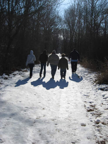 a long cold winter walk – In the Woods