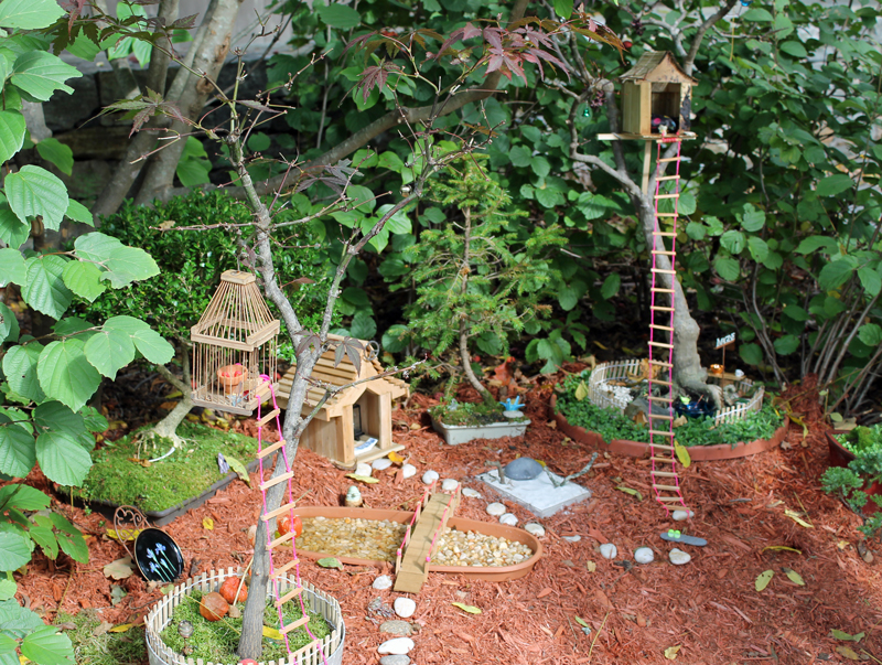 a tree faerie dedicated to sharing his love and respect for trees – In ...