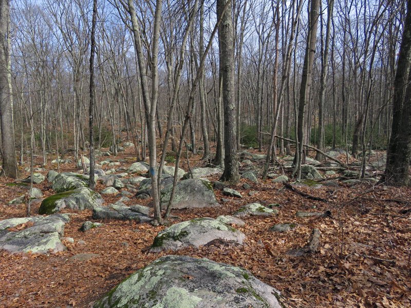 boulder deposits – In the Woods