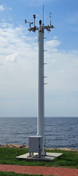 in the horizon – In the Woods