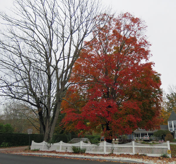 mostly dull colors – By the Sea