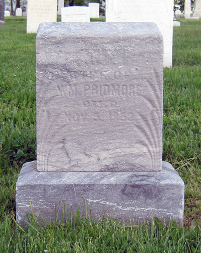 Pridmore, William & Anna Sturgess – In the Woods