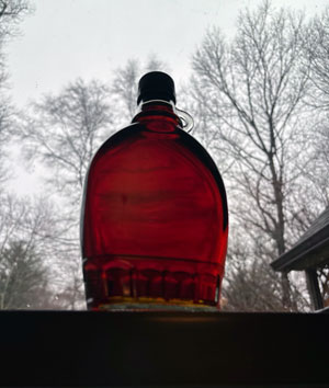 maple syrup – In the Woods