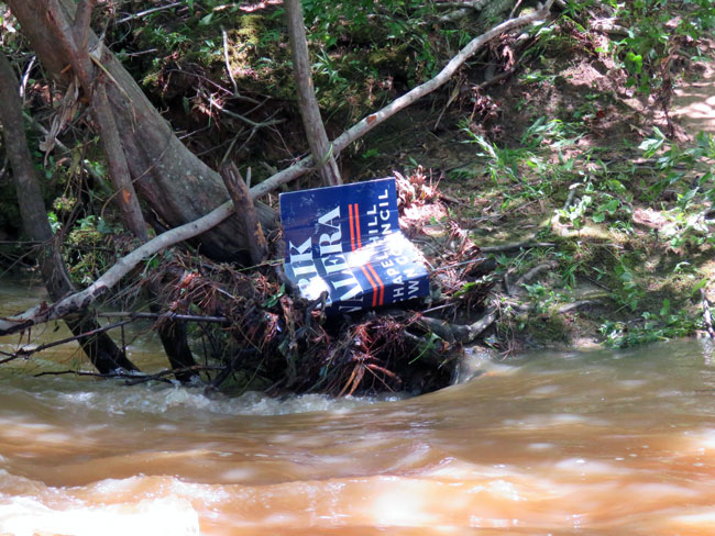 10 inches of rain! – In the Woods